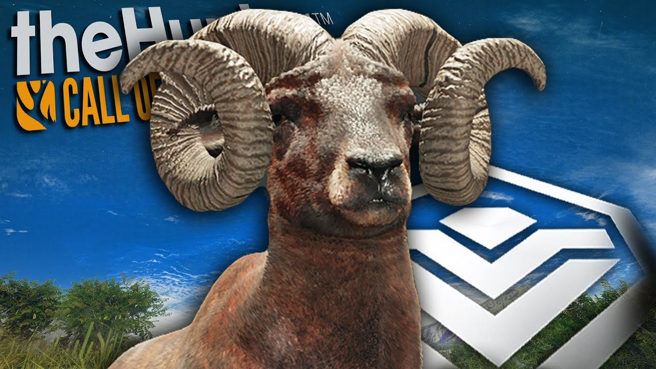 Diamond Bighorn Sheep Surprises Us During The Mule Deer Grind! Call of ...