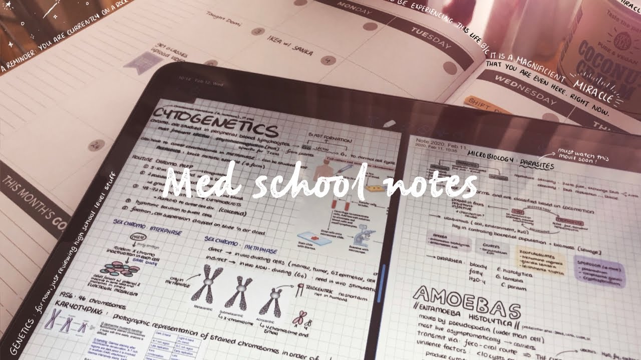 MED SCHOOL NOTES FLIP THROUGH 🌿 first month of uni // iPad Pro version ...