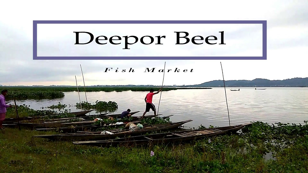 Deepor Beel - YouTube