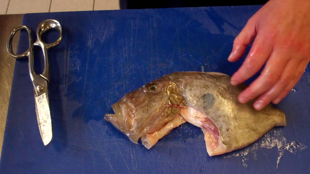 How to fillet John Dory - YouTube