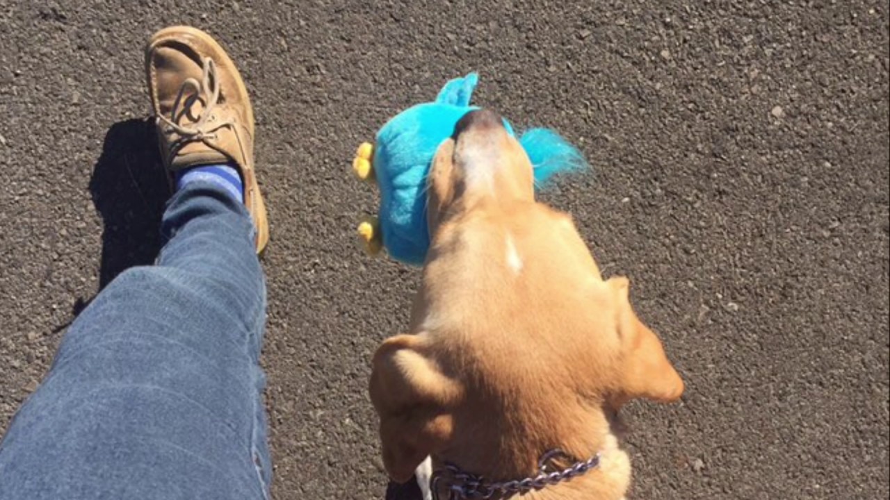 Retrieval Task training - YouTube