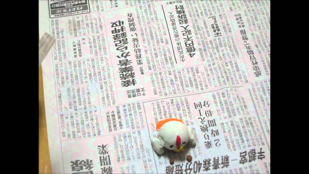THE NIWATORI STORY - YouTube