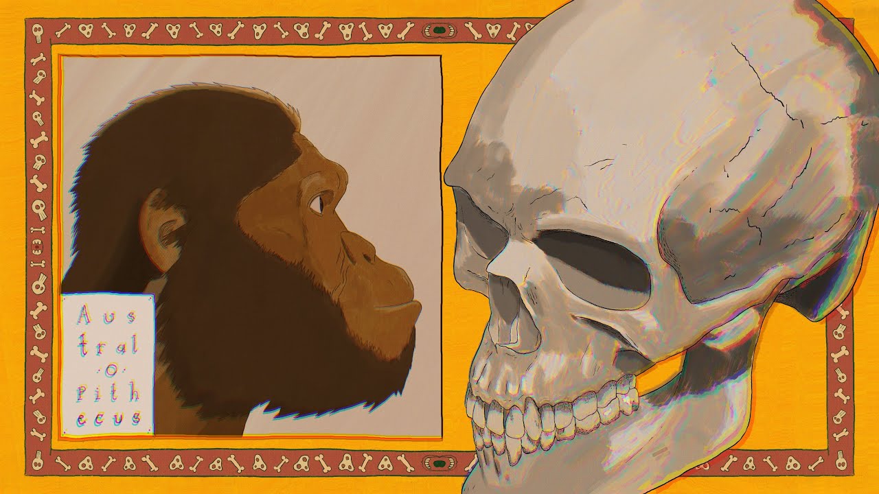 Extinct Human Species from 3 million years ago - YouTube