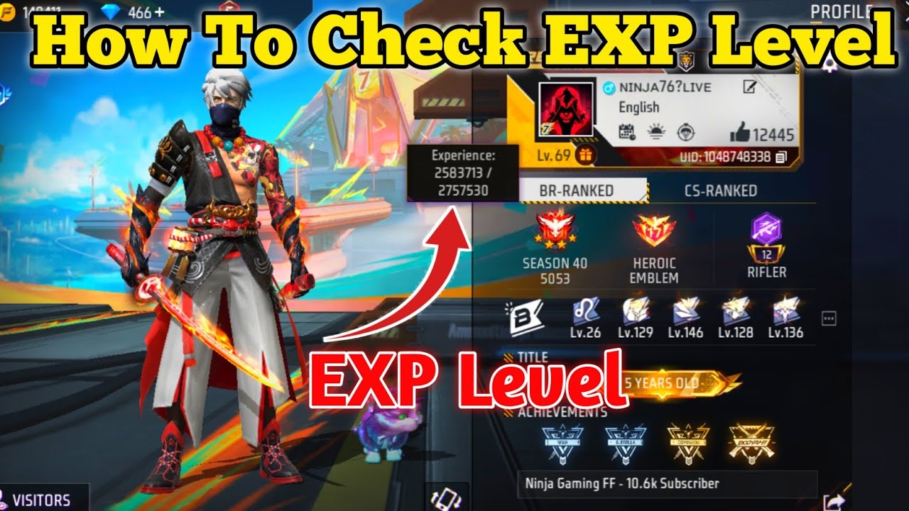 How To Check Your Game Level Exp in Free Fire | Exp Check Kaise kare ...