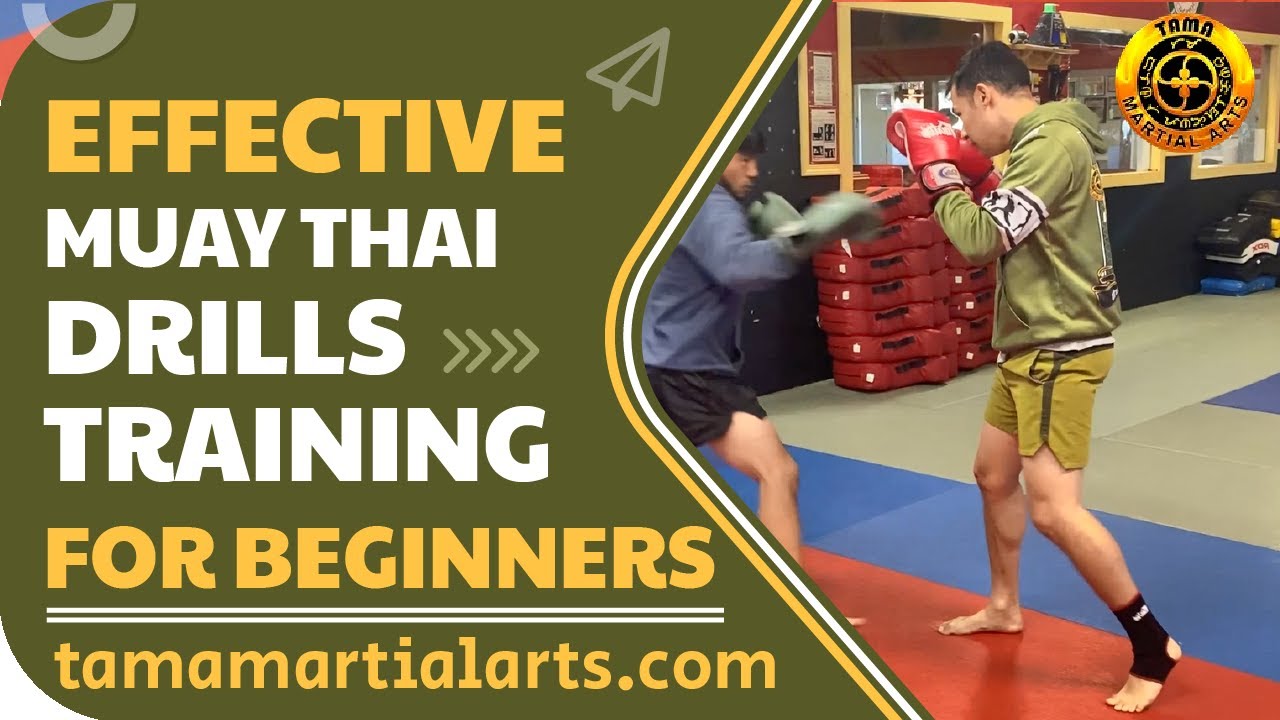 Muay Thai Drills Training for Beginners, Best Muay Thai Workout ...