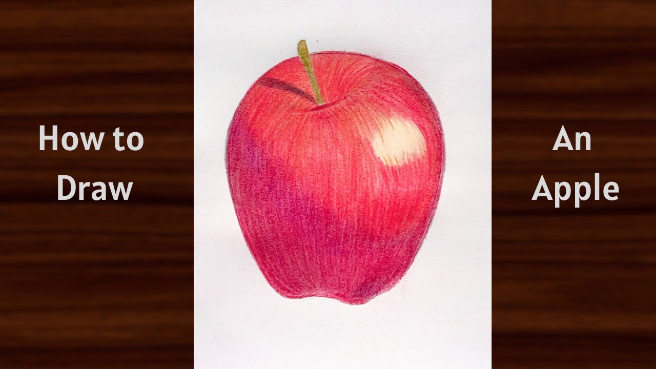 How to draw Apple🍎||step by step|| - YouTube