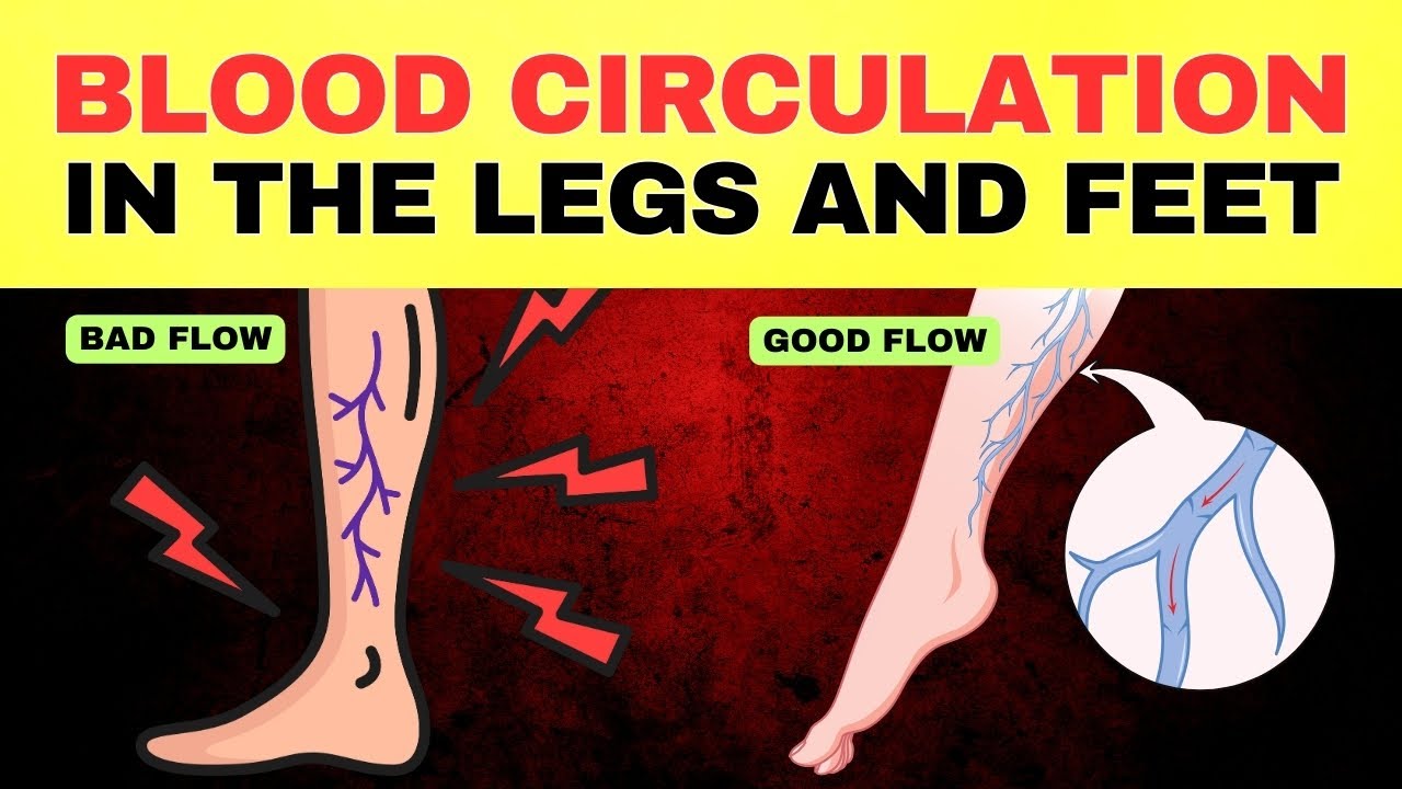 5 Best Ways To Improve Blood Circulation In The Legs and Feet - YouTube