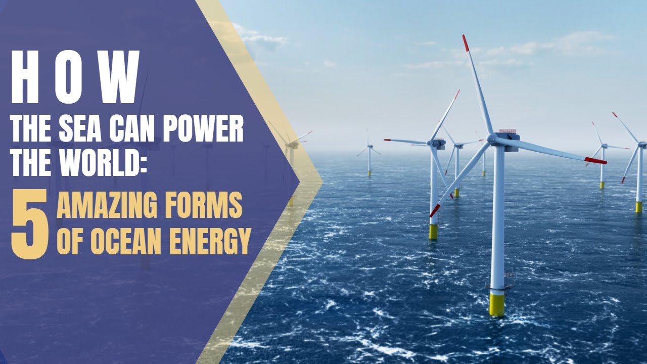 How the Sea Can Power the World: 5 Amazing Forms of Ocean Energy - YouTube