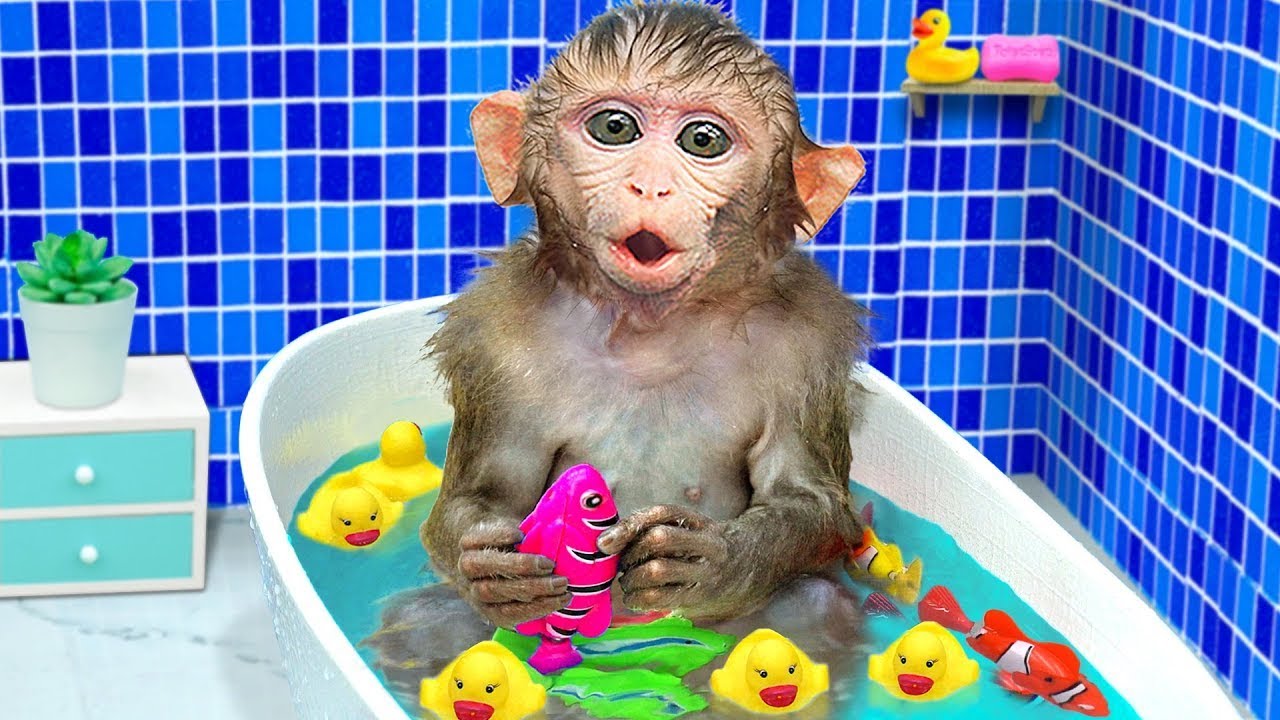 KiKi Monkey relax in the bathtub with rainbow fish and ducklings then ...