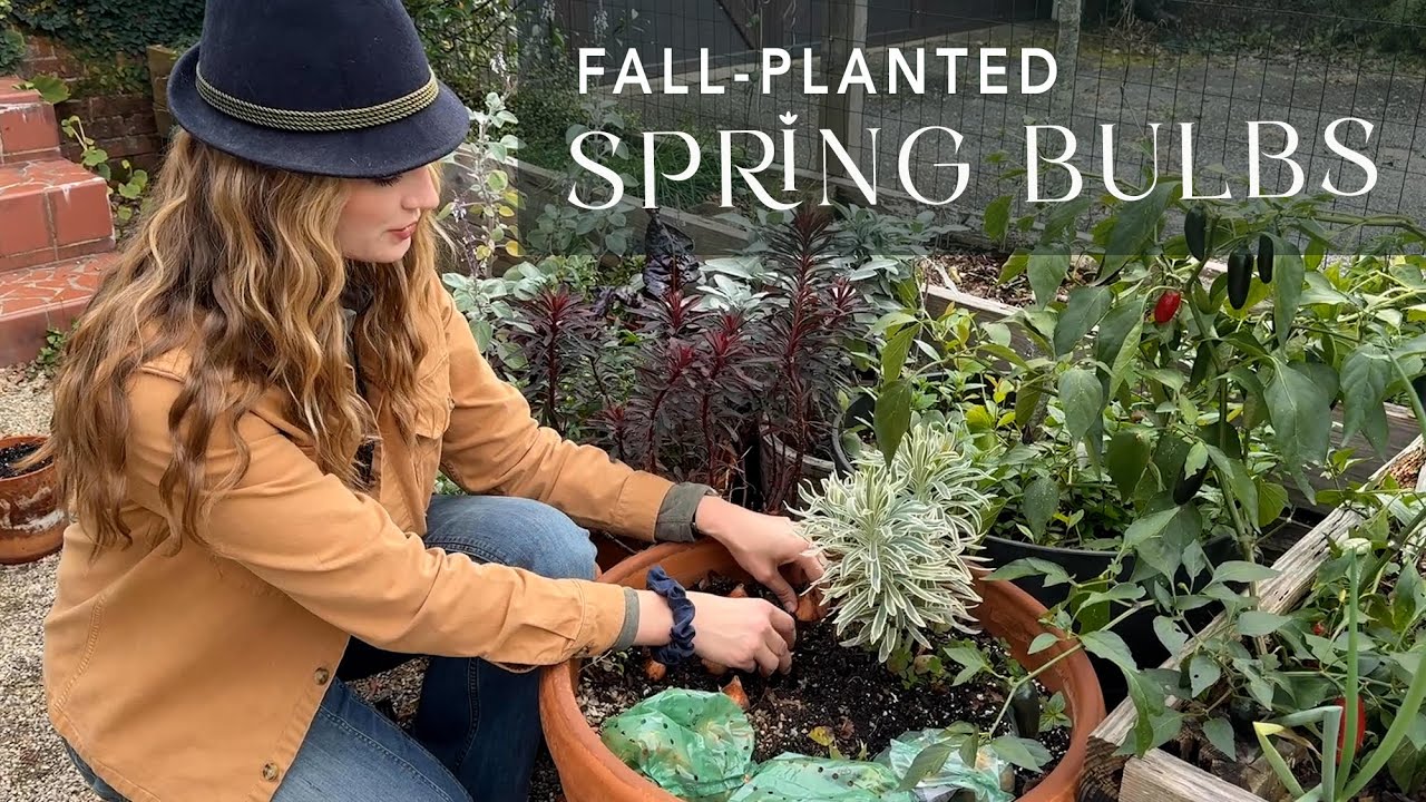 Bulbs | Fall Planting for a Gorgeous Spring Show - YouTube