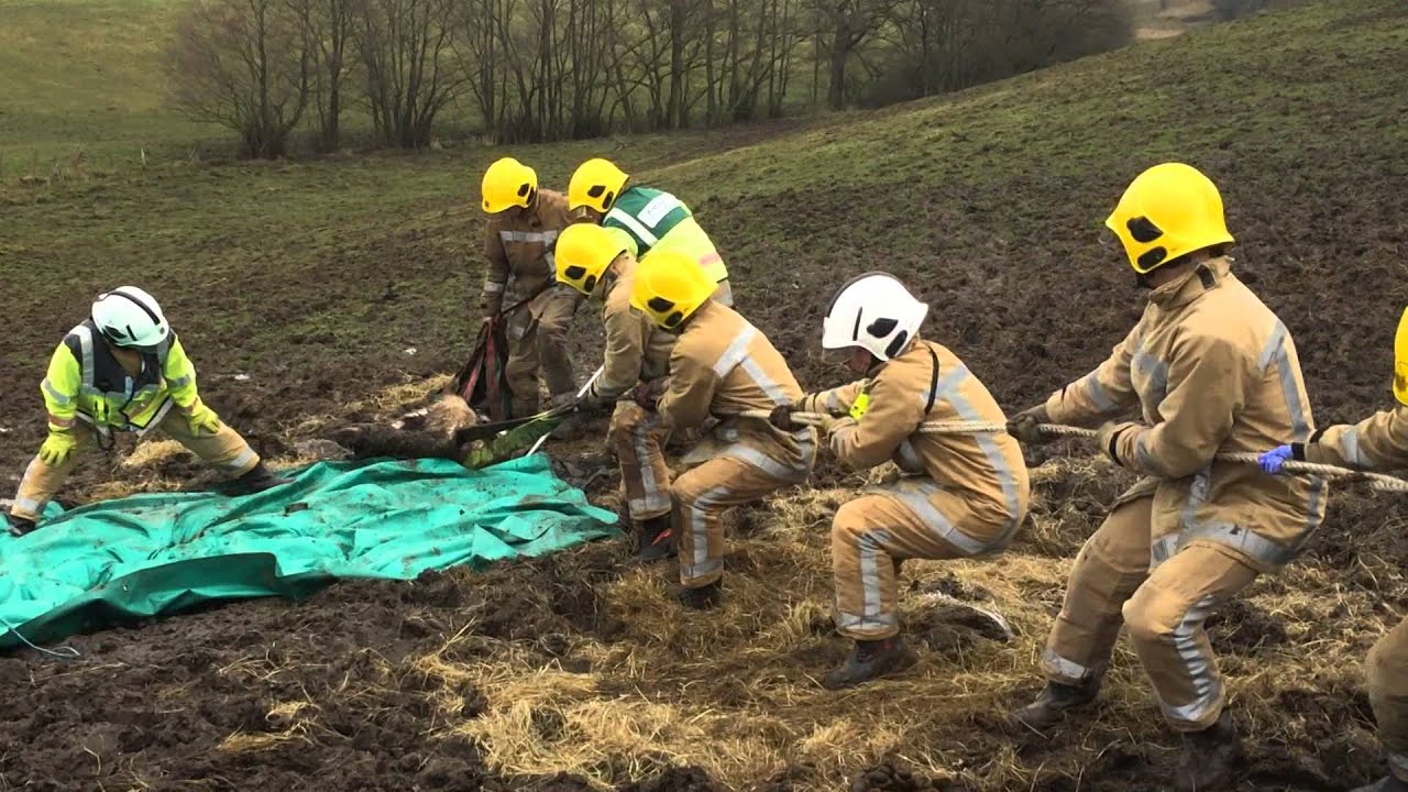 Horse rescued from deep mud, Talke Pits, Stoke on Trent. - YouTube