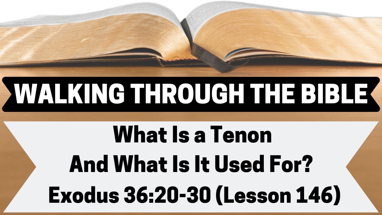 What Is a Tenon and What Is It Used For? [Exodus 36:20-30][Lesson 146 ...