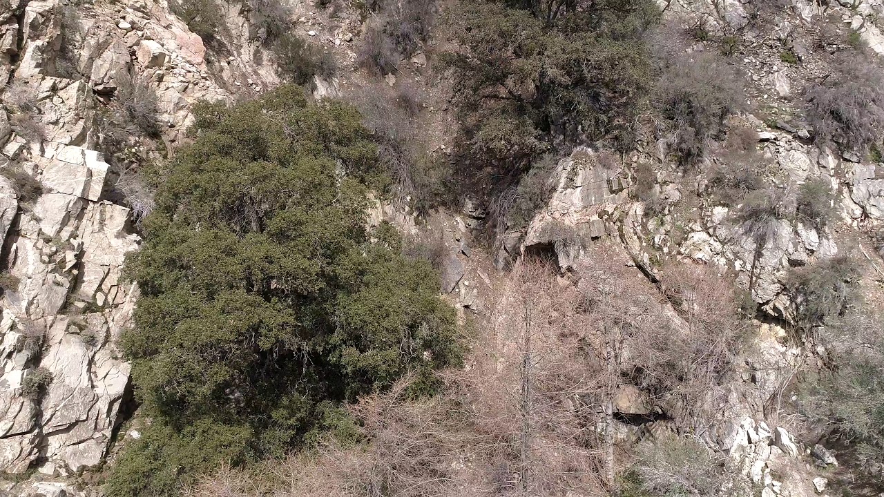 Monkey Face Falls - YouTube