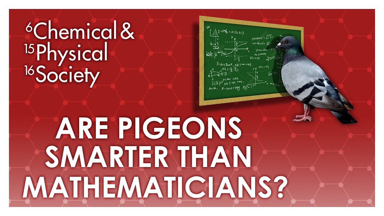 Are Pigeons Smarter Than Mathematicians? - Dr Anna Roffey - CPS ...