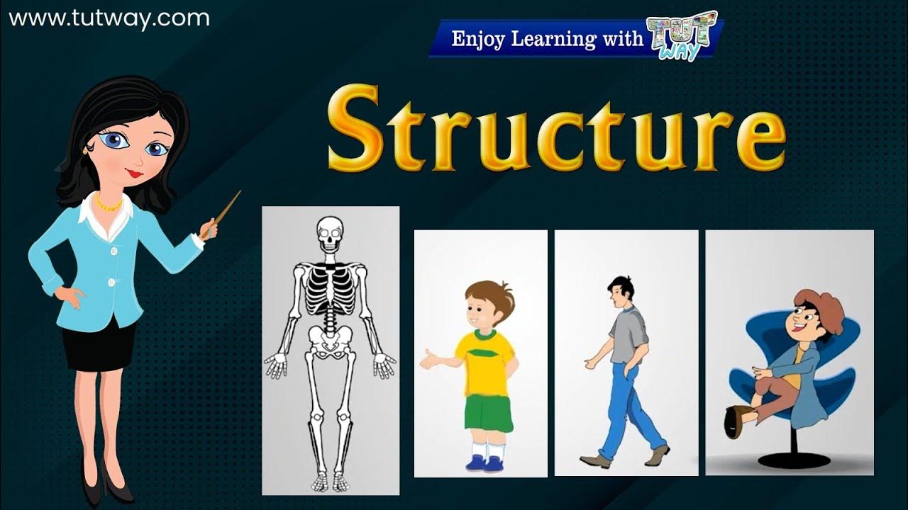 Structure | Functions of Structures | Natural & man made structures ...