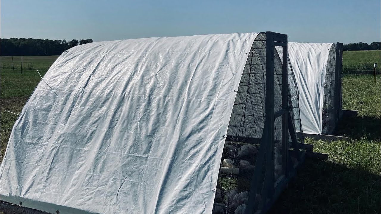 Tour Our Cattle Panel Chicken Tractors - Multipurpose Homestead ...