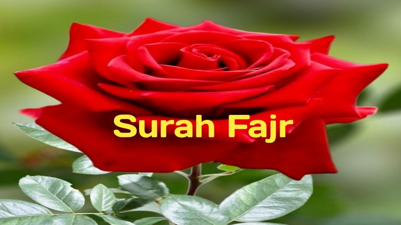 Surah Fajr full | سورت الفجر | surat fajr hd - YouTube