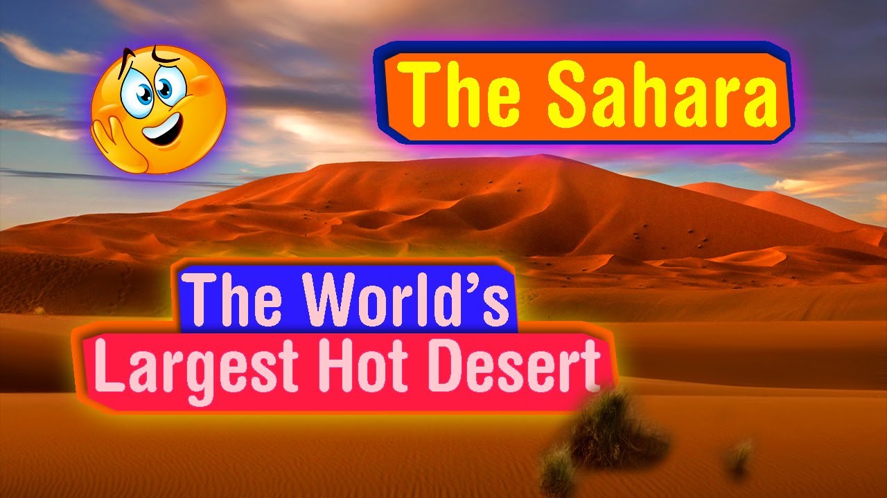Facts you won't believe about the world's largest hot desert! - YouTube