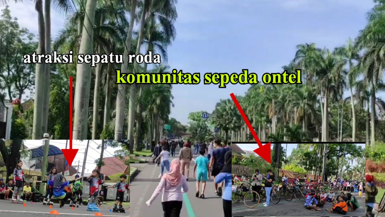 SUASANA CAR FREE DAY JALAN IJEN KOTA MALANG 2023 - YouTube