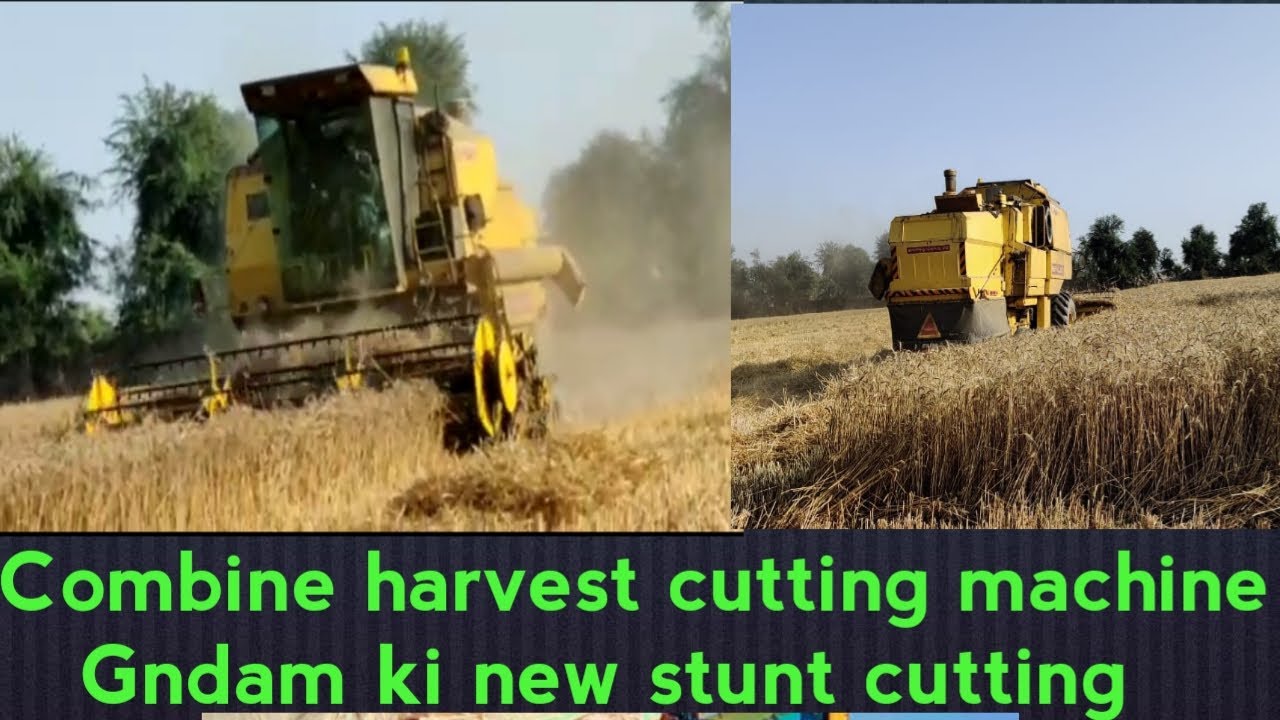 Combine harvest cutting machine in my village punjab pk. - YouTube