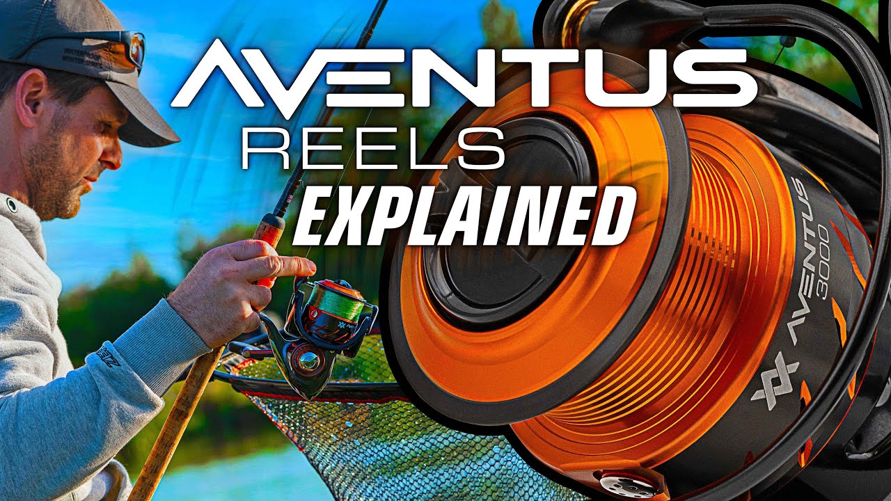 The Aventus Reels Explained - YouTube