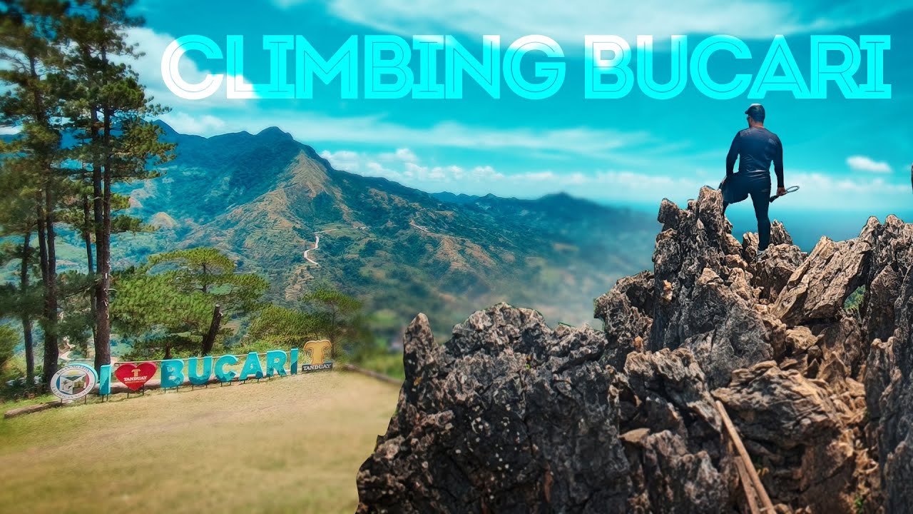 Climbing Bucari Pine Forest: Relaxing Nature & Wind Sound - YouTube