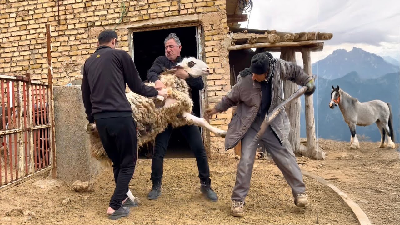 Nomadic Life of Hardship | Daily Struggles in an Iranian Mountain ...