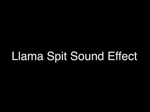 Minecraft: Llama Spit Sound Effect - YouTube