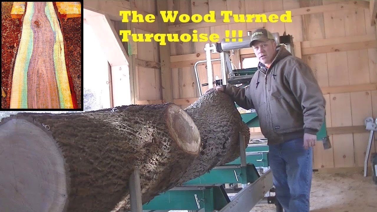 Big Ugly Black Walnut On The Sawmill Today, Amazing Slabs ! - YouTube