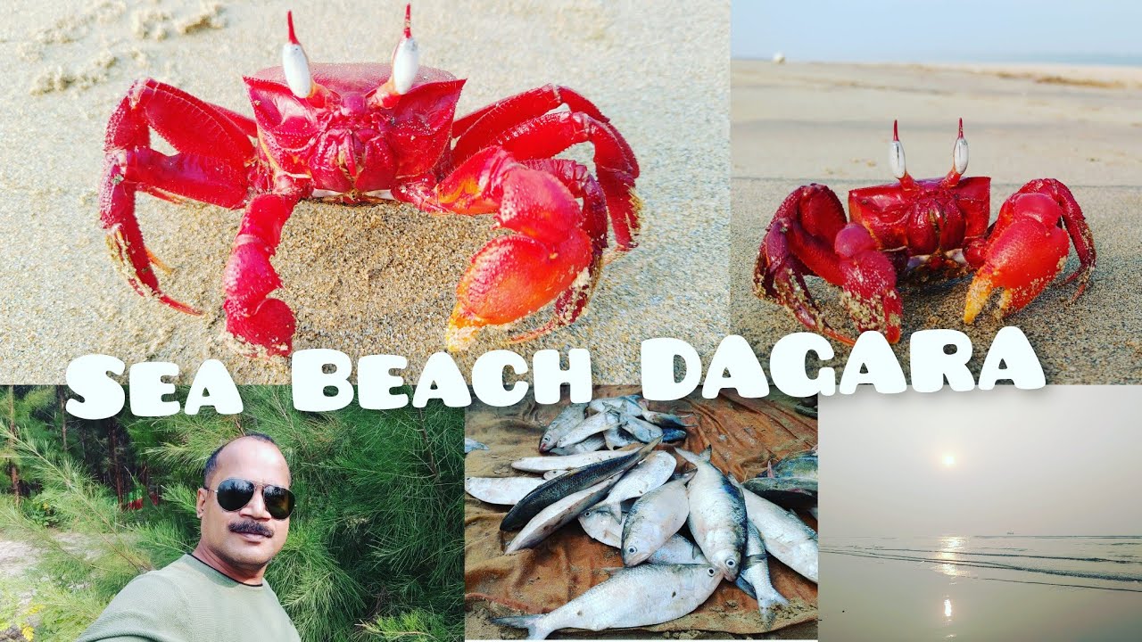 Dagara sea beach,Baliapal Balasor,ODISHA || Unknown weekend Destination ...