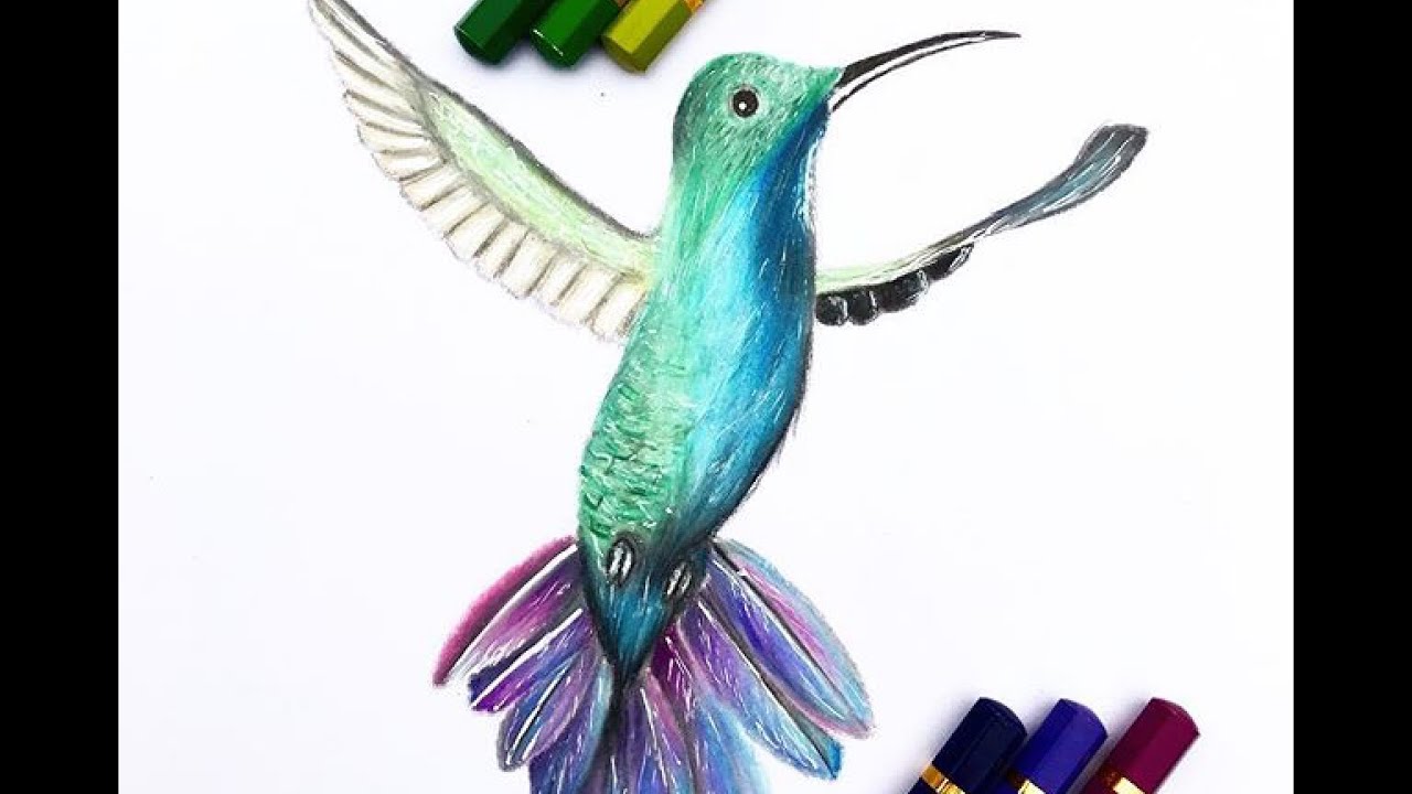 Timelapse | drawing a tropical bird - YouTube