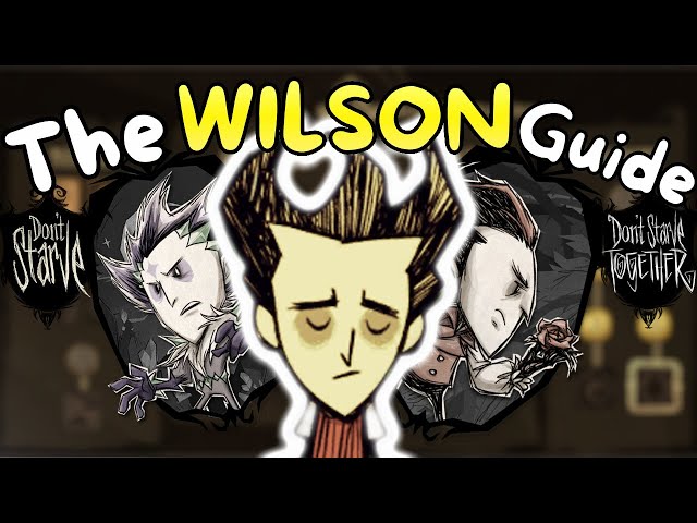Wilson Dst Machine