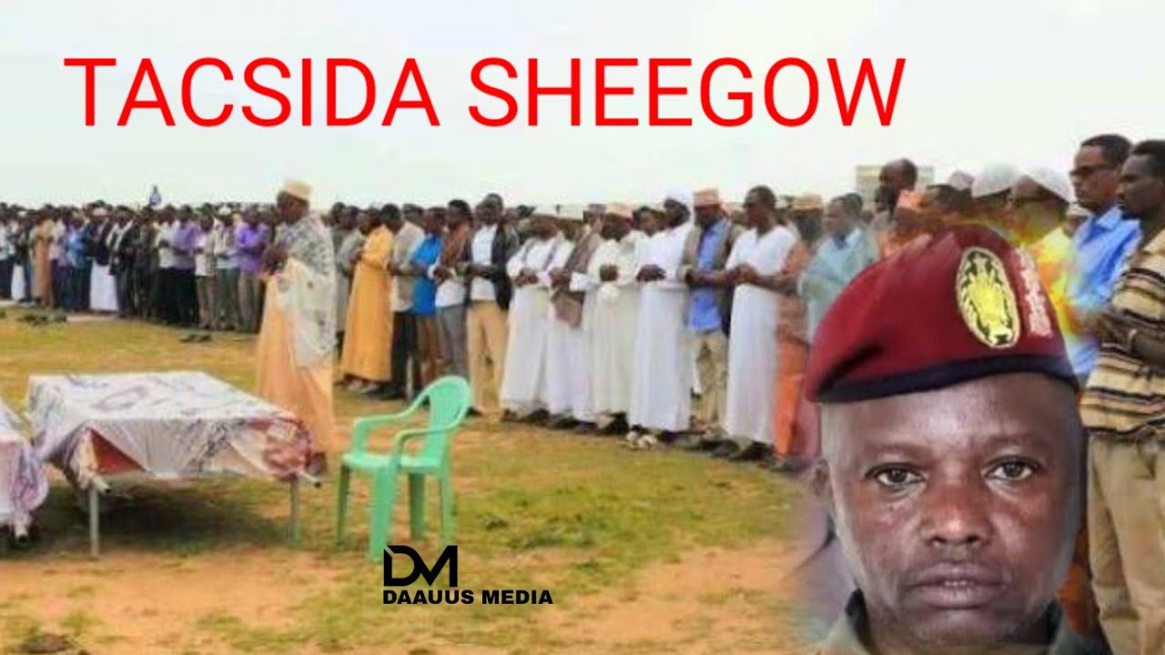 DAAWO: Beesha Jareer weyne oo tacsi u dhigay General Sheegow - YouTube