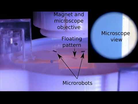 2019 Floating magnetic microrobots for fiber functionalization 1 - YouTube