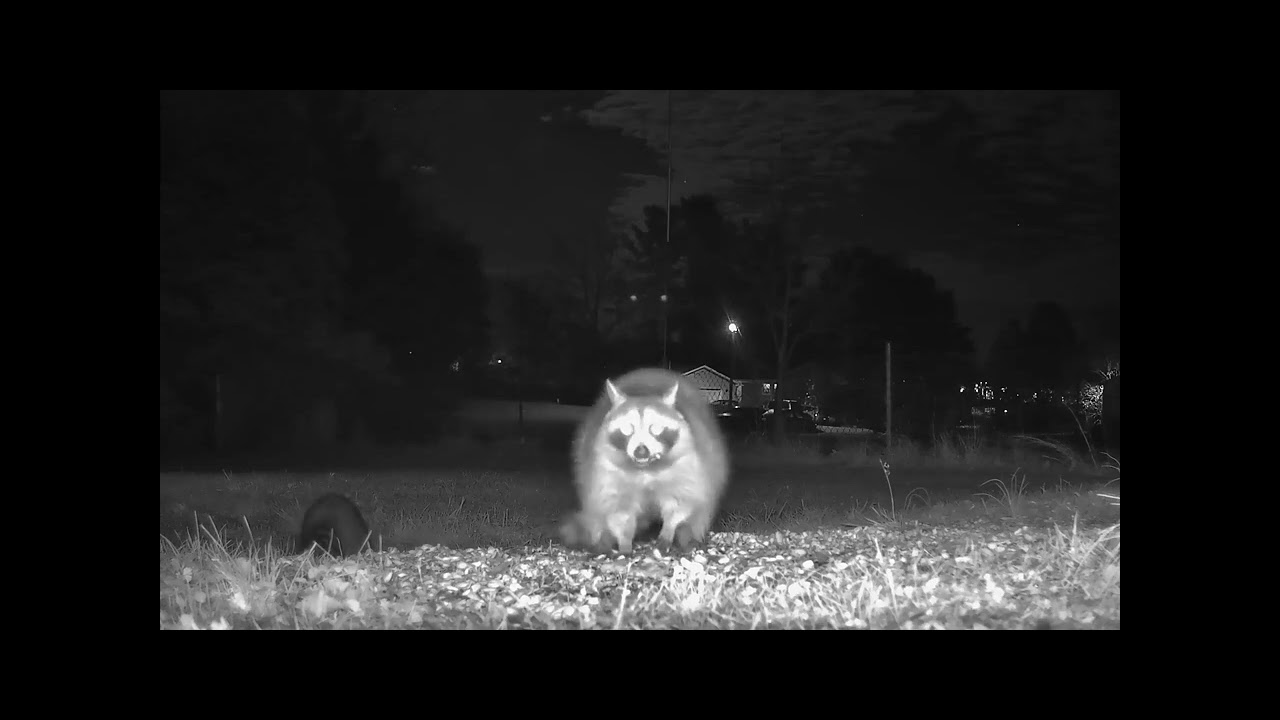 Emily 2 1 25 Stunning Saturday. - YouTube