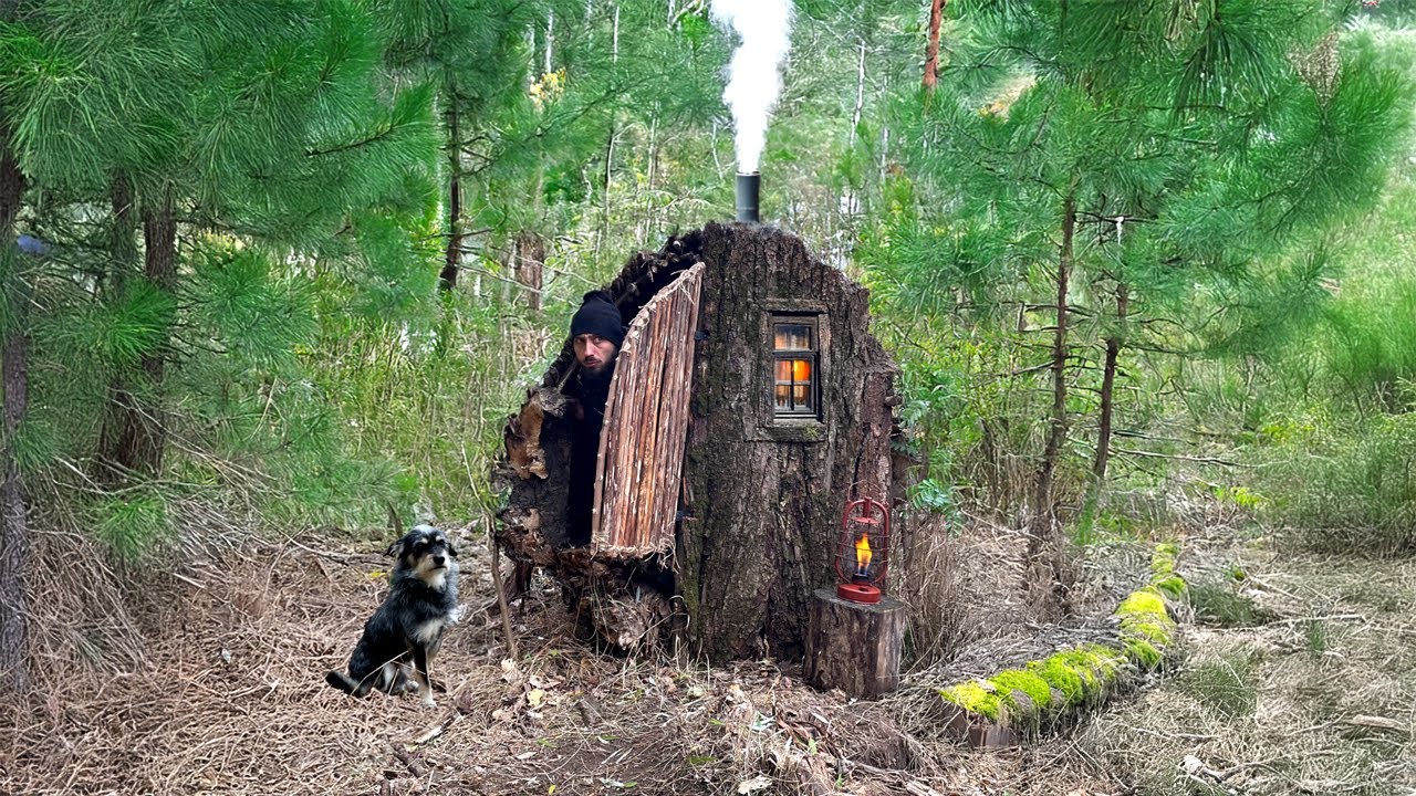 Building a Warm and Cozy Shelter on a Fallen Tree.Secret Lair ...
