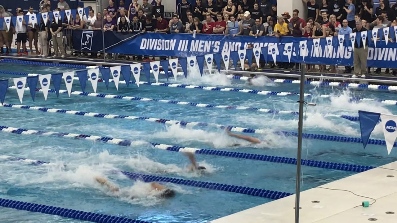 WPI Swimming & Diving - 2019 NCAA 400 Free Relay - YouTube