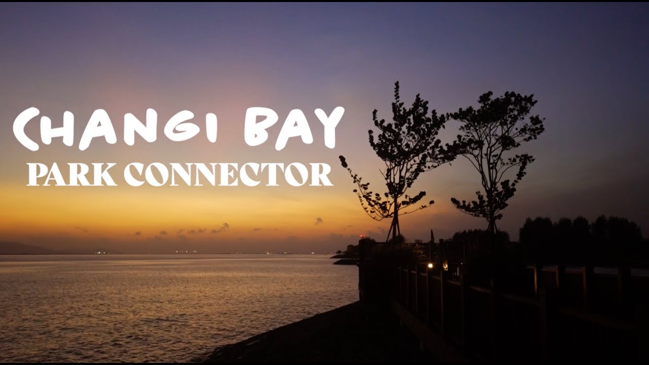 Out&About - Changi Bay Park Connector - YouTube