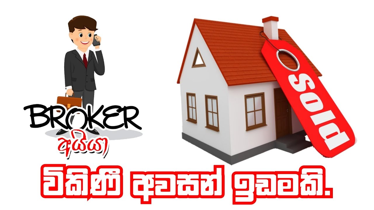 Coconut land for sale in pannala/Lankawe pol idam/Aduwata pol idam ...