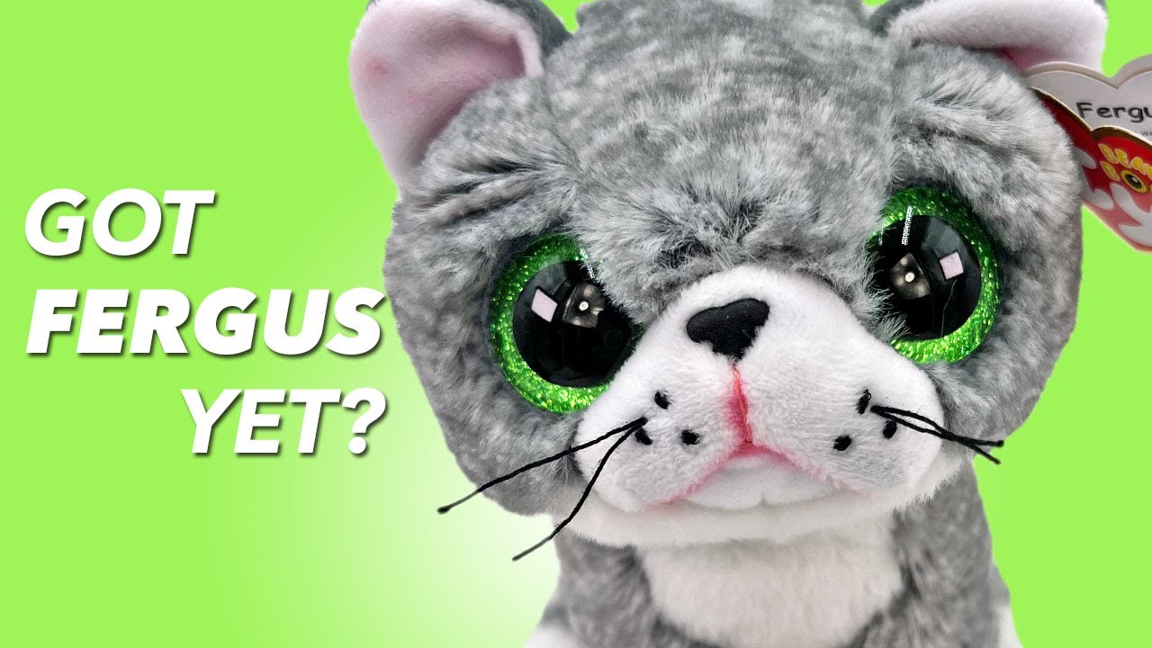 2023 Beanie Boo - Have you got Fergus yet? - YouTube