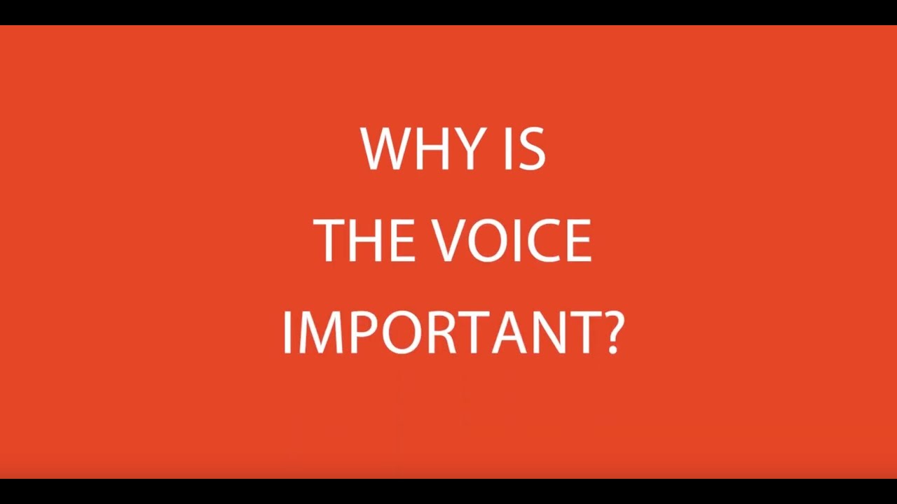 Voices on the Voice - Student Vox Pops - YouTube