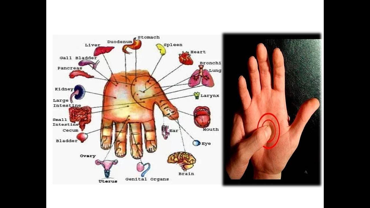 1 నిమిషం ఇలా చేసిచూడండి,ఎన్నో రోగాలు మాయం|Acupressure Points|Hands ...