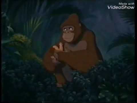 No meu coração letra