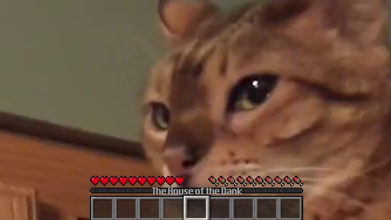 CAT SNEAK ATTACK GONE MINECRAFT MEME - YouTube