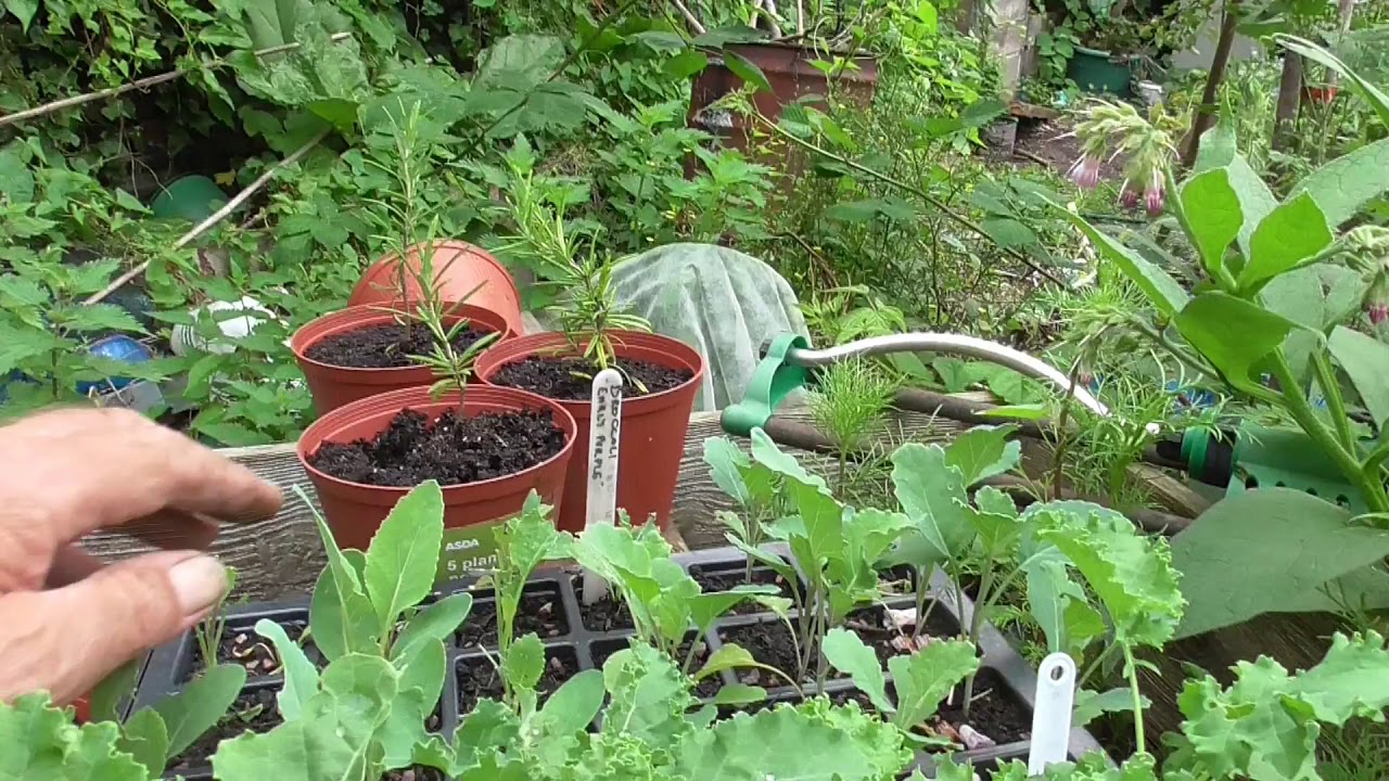 phase one almost complete - YouTube