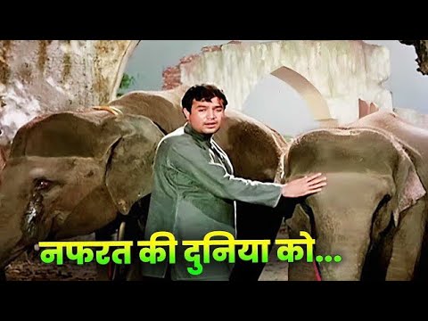 Mohammad Rafi: Nafrat Ki Duniya Ko Chhod Ke | Hathi Mere Sathi | Rajesh Khanna | Sad Hindi Song