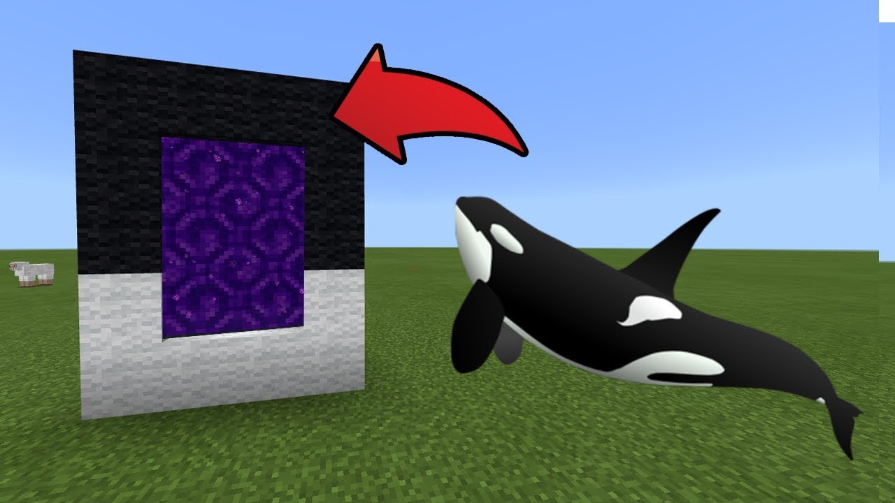 How To Make a Portal to the Orca Dimension in MCPE (Minecraft PE) - YouTube