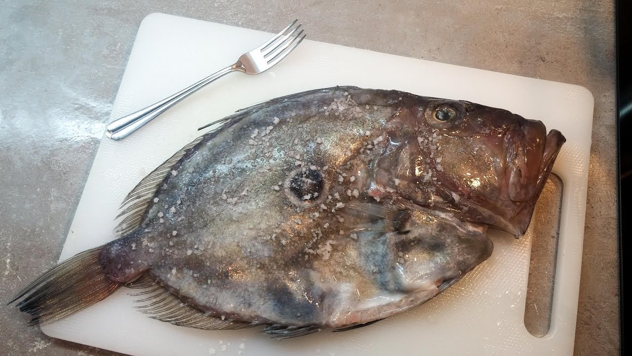 Receita de peixe galo grelhado no forno by necasdevaladares - YouTube