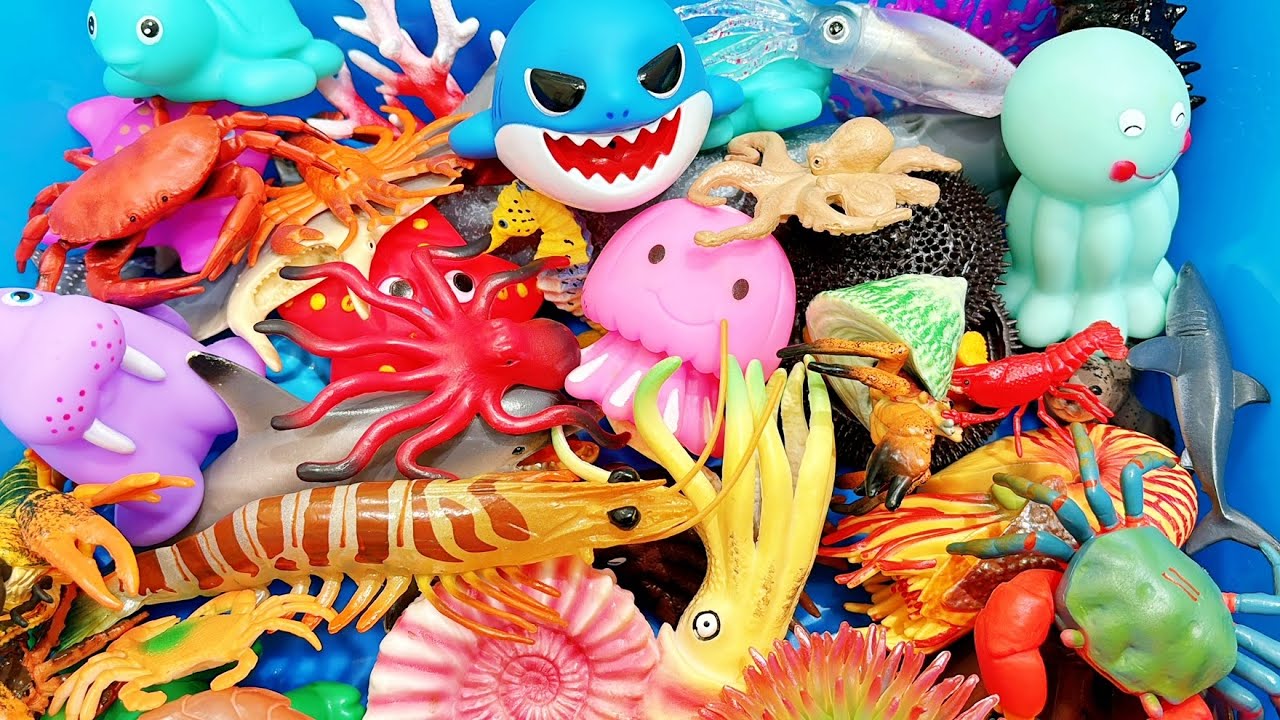 Vertebrates Sea Animals