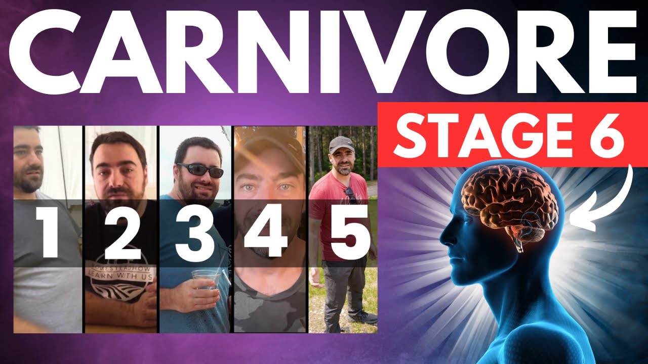 The 6 Stages of the Carnivore Diet: What to Expect at Every Step - YouTube